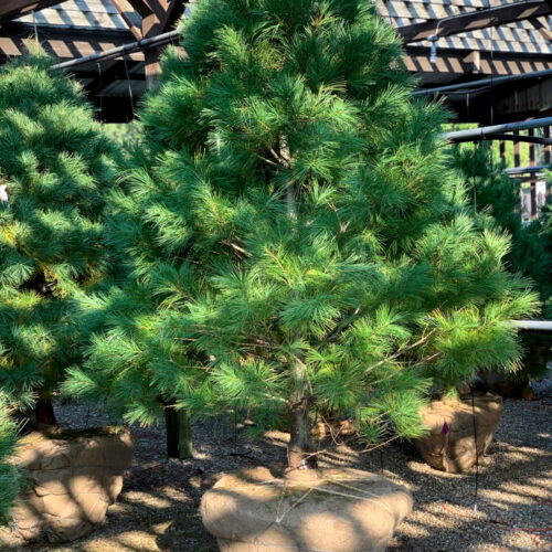 The Garden Spot – Ravenna Ohio